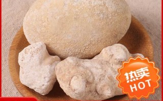 狗宝多少钱一斤_狗宝价格行情