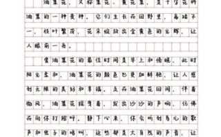 菜花节作文怎么写_菜花节作文开头结尾