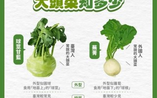 腌大头菜怎么做好吃_大头菜腌制配方