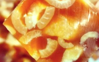 家常熬皮冻的做法窍门_皮冻怎么熬才透明筋道