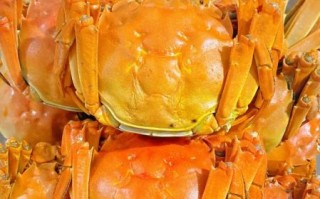 螃蟹怎么蒸_蒸螃蟹的正确方法