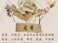龙骨是什么药_龙骨的功效与作用