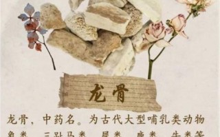 龙骨是什么药_龙骨的功效与作用