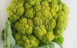 绿花椰菜长什么样_如何辨别新鲜绿花椰菜