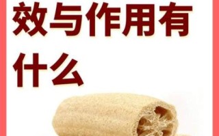 丝瓜络的副作用与禁忌_哪些人不能吃