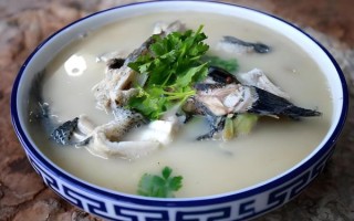 乌鱼汤怎么做最有营养_乌鱼汤孕妇能喝吗