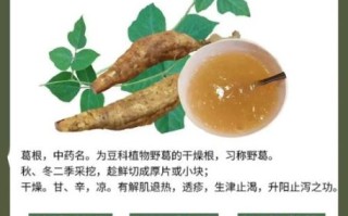 黄葛粉的功效与作用_黄葛粉怎么吃效果最好