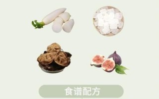 白萝卜的功效与作用_白萝卜的营养价值有哪些