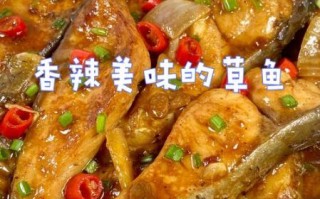 麻辣鱼的家常做法_草鱼怎么做好吃又简单