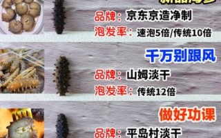 什么牌子的海参最好最有保障_海参品牌怎么选