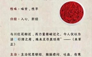 藏红花泡水喝的正确方法_一次泡几根最合适