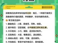 南瓜英语发音怎么读_南瓜英语发音和pumpkin区别