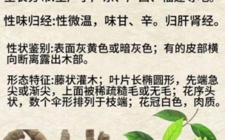 巴戟天的功效与作用_巴戟天的禁忌人群有哪些