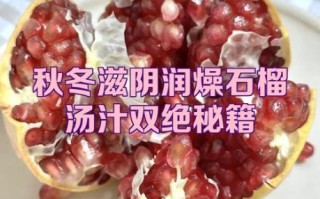 石榴汁怎么榨好喝窍门_石榴榨汁要不要加水