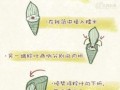 学包粽子教程_粽子怎么包才紧实