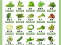常见蔬菜分类有哪些_如何按营养选蔬菜