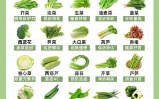 常见蔬菜分类有哪些_如何按营养选蔬菜