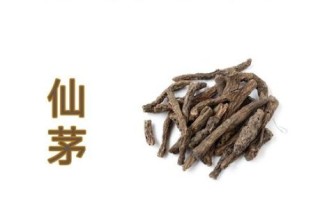 仙茅的功效与作用_仙茅怎么吃效果最好