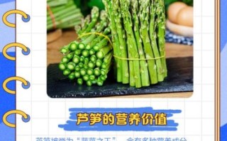 芦笋亩产量多少斤_如何提高芦笋亩产