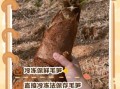 毛笋怎么保存_毛笋可以冷冻吗