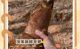 毛笋怎么保存_毛笋可以冷冻吗