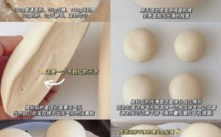 蒸馒头怎么做才松软_蒸馒头需要发酵多久