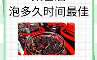 桑葚泡酒的功效与作用_桑葚酒怎么泡才正确
