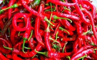 永丰辣酱哪个牌子最正宗_永丰辣酱怎么吃最好吃