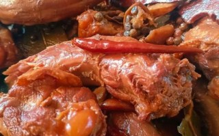 绝味鸭脖的做法及配料_绝味鸭脖怎么卤才入味 绝味鸭脖的做法及配料_绝味鸭脖怎么卤才入味