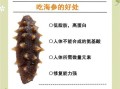海参的功效与作用及副作用_海参怎么吃才安全