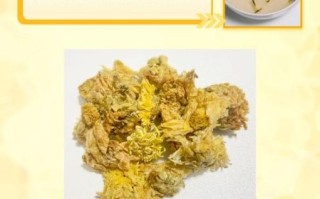 菊花茶哪些人不能喝_菊花茶禁忌人群