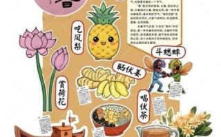 大暑吃什么养生_大暑节气如何防暑
