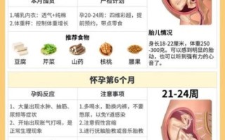 早孕孕妇吃什么好_孕早期饮食注意事项