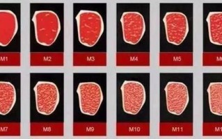 澳洲和牛等级怎么分_M9+和A5区别在哪
