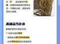 黄鳝的营养价值有哪些_黄鳝的功效与作用是什么