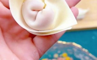 大馄饨怎么包_大馄饨包法视频教程