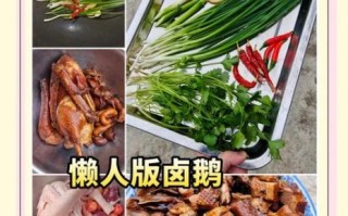 卤鹅的做法大全_卤鹅怎么做好吃又入味