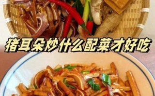 猪菜图片_猪菜怎么做好吃