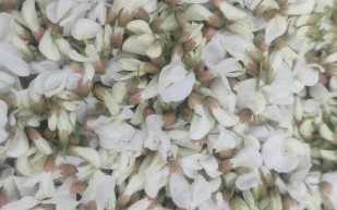 冻槐花怎么做好吃又简单_冻槐花家常做法