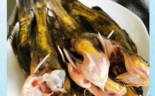 嘎鱼怎么做好吃_嘎鱼的家常做法大全