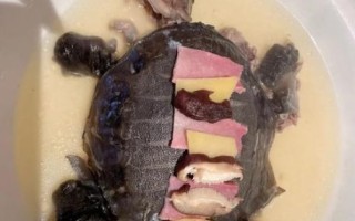 清蒸甲鱼要蒸多久_甲鱼蒸多久才熟