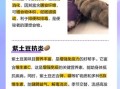 紫土豆的营养价值_紫土豆的功效与作用