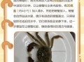 螃蟹怎么清理_螃蟹清洗步骤