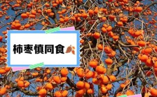 吃完柿子不能吃什么_柿子相克食物有哪些
