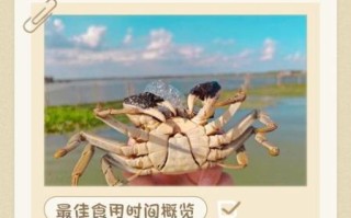 阳澄湖大闸蟹什么时候上市_2021年上市时间