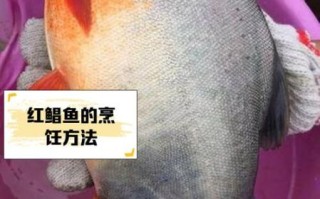 红鲳鱼为什么吃的人越来越少_红鲳鱼口感变差了吗