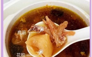 鹿筋怎样煲汤_鹿筋煲汤用什么材料