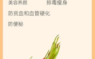 火龙果有什么营养_火龙果的功效与作用