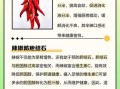 辣椒的功效与作用_辣椒吃多了有什么害处