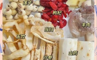 滋补羊肉汤的做法_羊肉汤怎么炖不膻